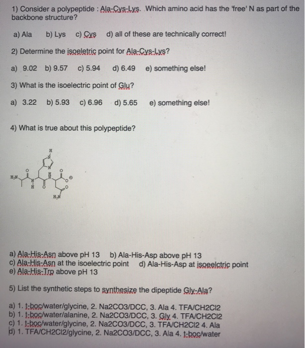 Solved 1) Consider a polypeptide : Ala-Cys-Lys. Which amino | Chegg.com