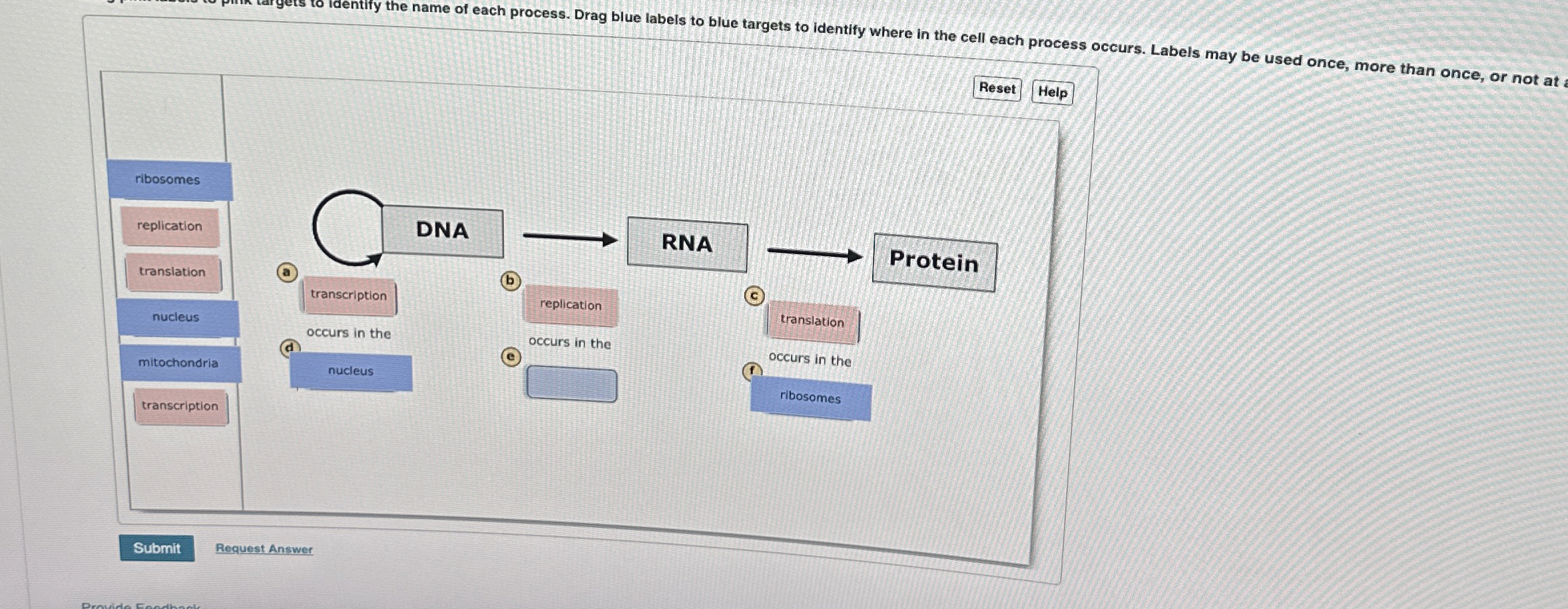 Solved dace of each process. Drag labels to blue targets to | Chegg.com