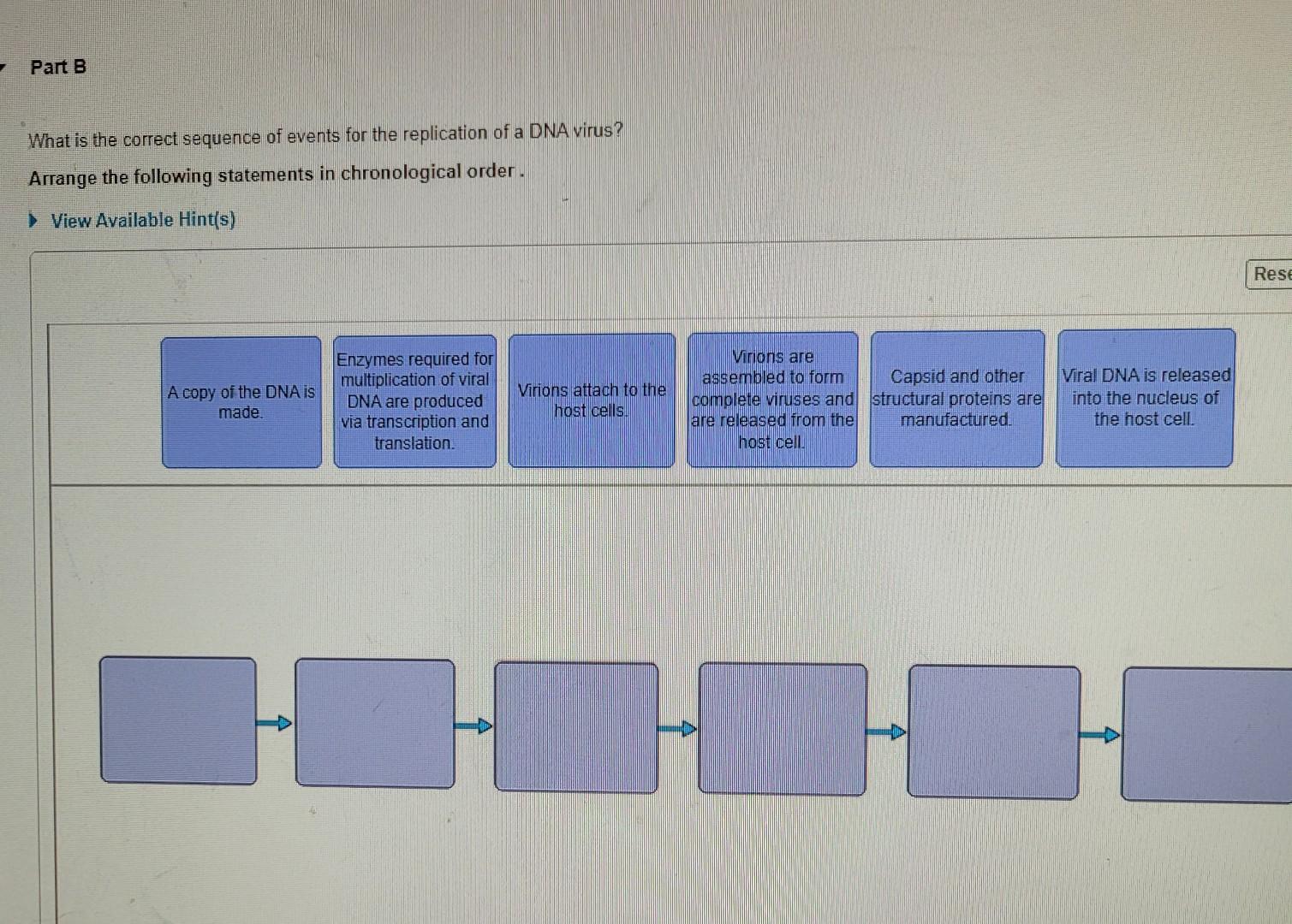 Solved What is the correct sequence of events for the | Chegg.com