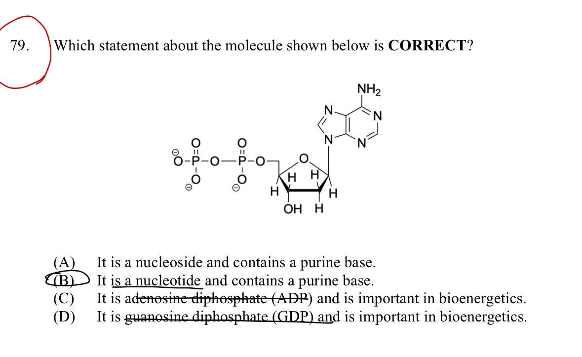 Solved Why isnt this an ADP? Which statement about the | Chegg.com