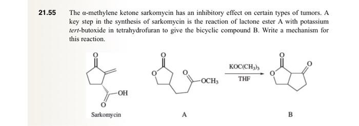 Solved The α-methylene ketone sarkomycin has an inhibitory | Chegg.com