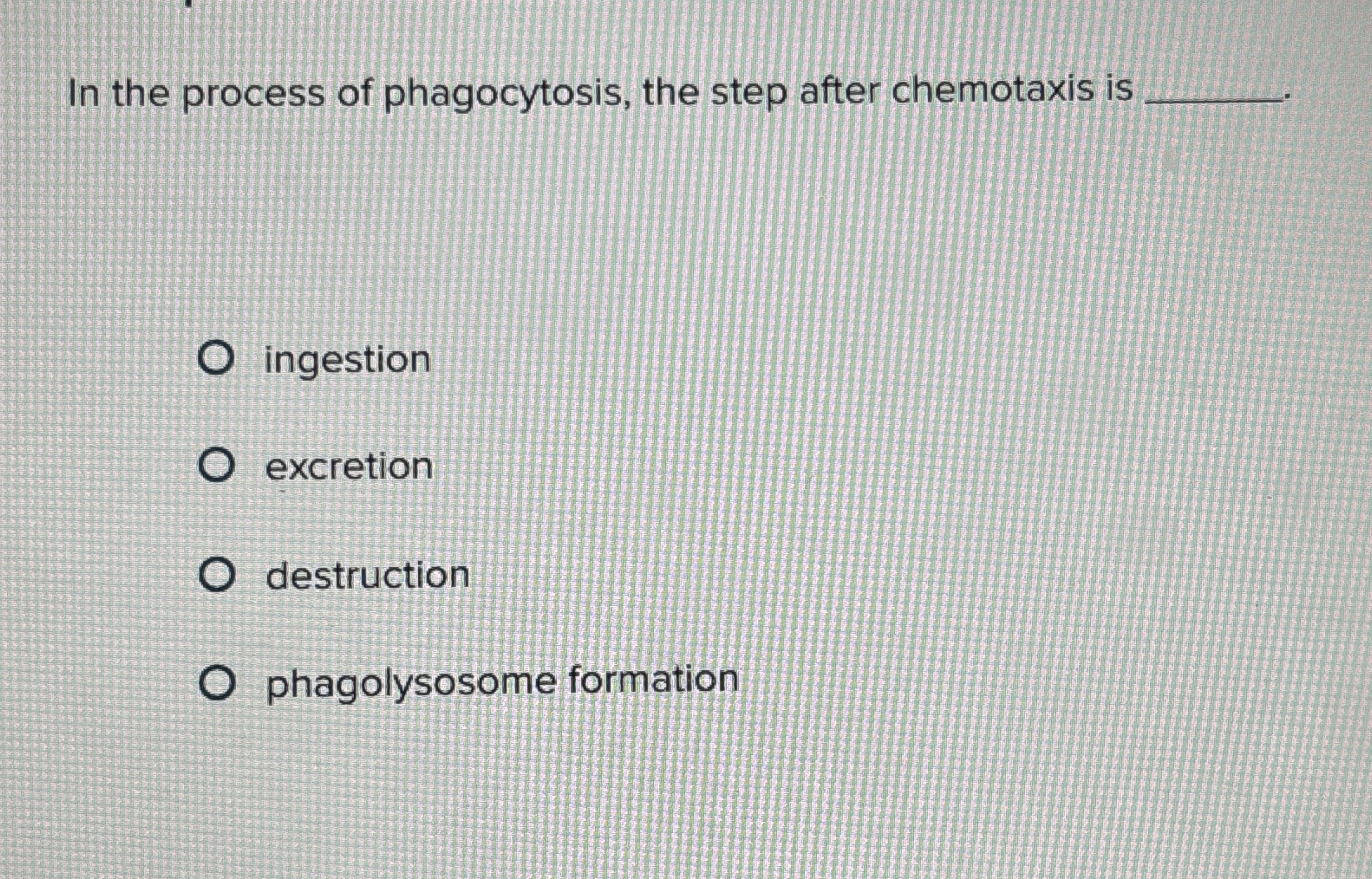 Solved In the process of phagocytosis, the step after | Chegg.com