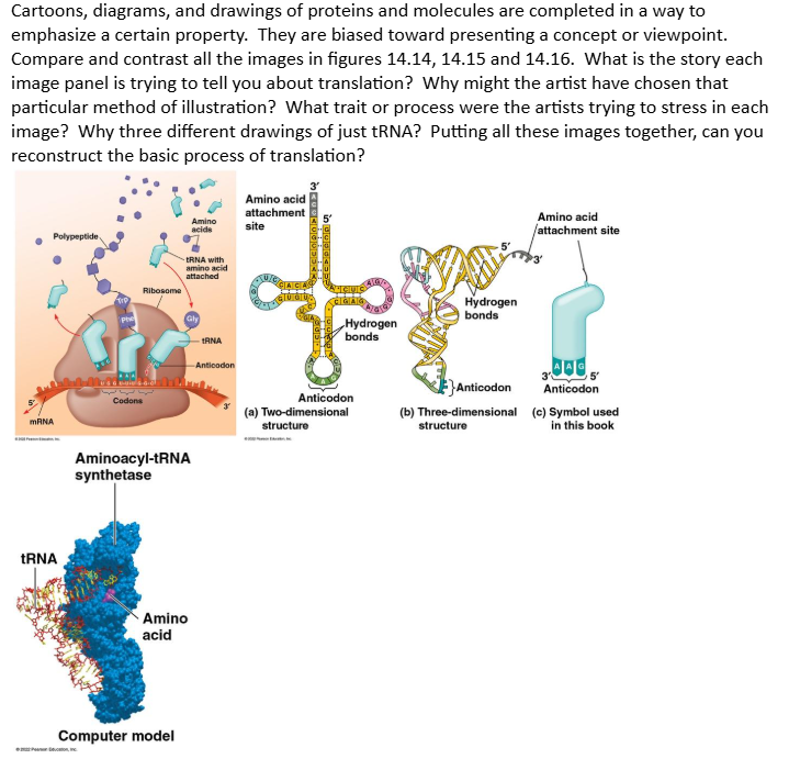 Solved Cartoons, diagrams, and drawings of proteins and | Chegg.com