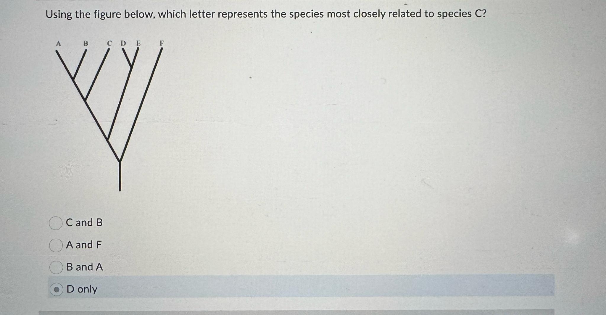 Solved Using the figure below, which letter represents the | Chegg.com
