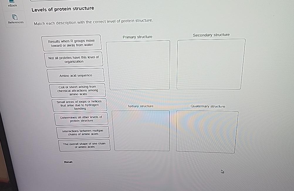 Solved Levels of protein structureReterencesMatch each | Chegg.com