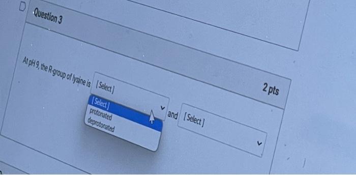 Solved D. Question 3 2ptsD Question 3 2pts | Chegg.com