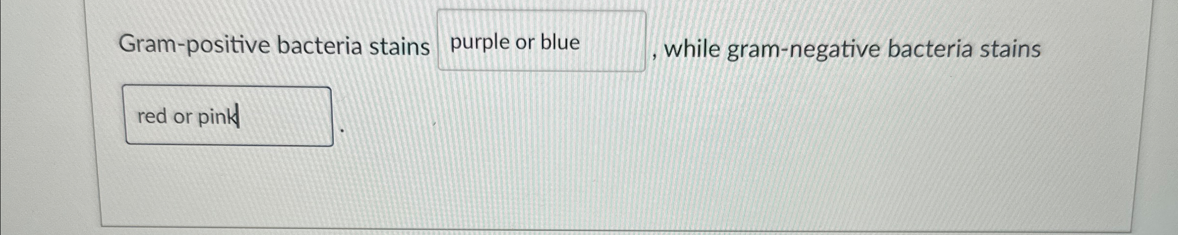 Solved Gram-positive bacteria stains , ﻿while | Chegg.com