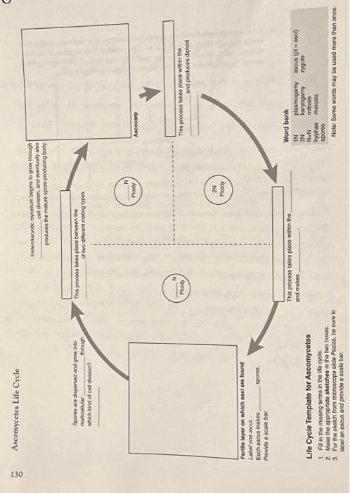 Solved Jeq epeos s epinond pue snose un jacet | Chegg.com