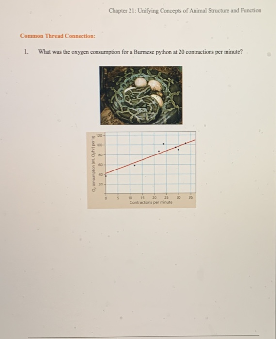 Solved Chapter 21: Unifying Concepts of Animal Structure and | Chegg.com