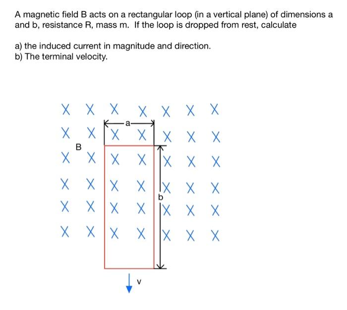 Solved A magnetic field B acts on a rectangular loop (in a | Chegg.com