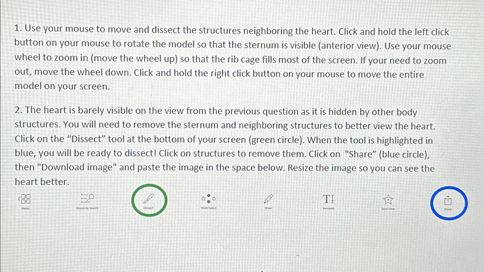 Solved Use your mouse to move and dissect the structures | Chegg.com
