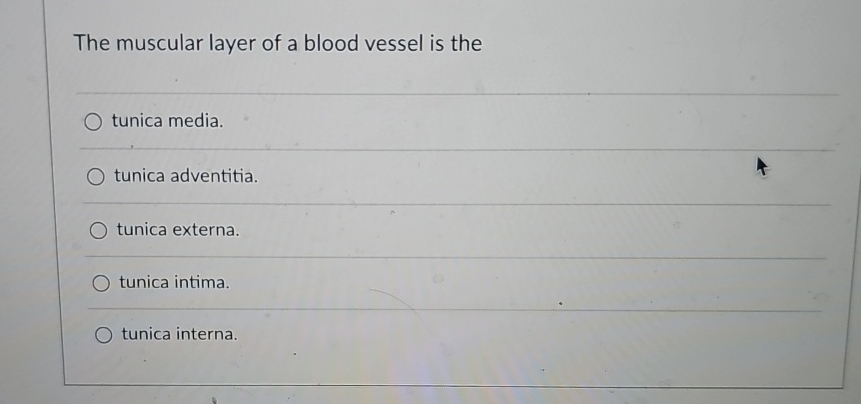 Solved The muscular layer of a blood vessel is thetunica | Chegg.com