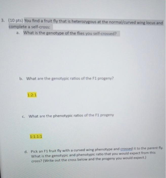 [Solved]: (10 pts) You find a fruit fly that is heterozygou