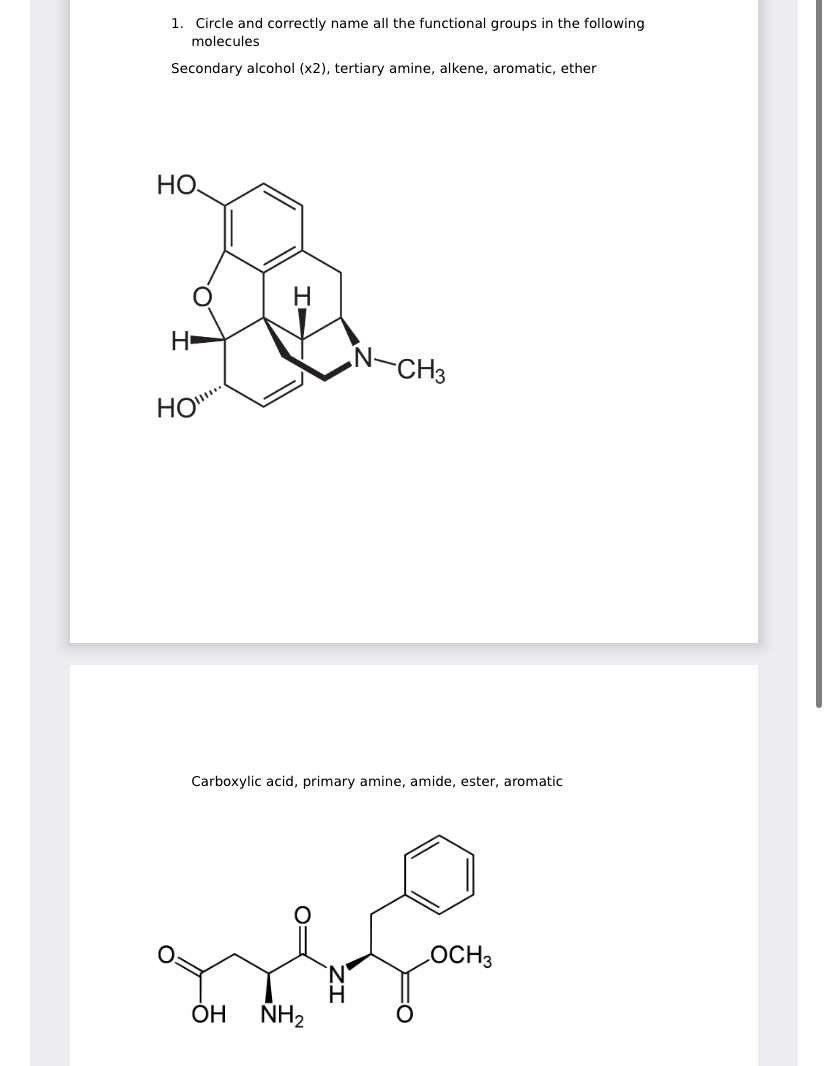 Solved Circle and correctly name all the functional groups | Chegg.com