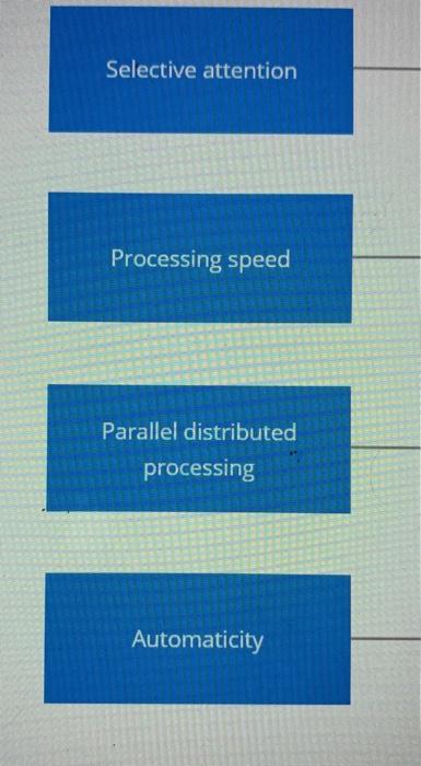 Solved Selective attention Processing speed Parallel | Chegg.com