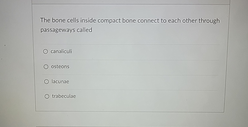 Solved The bone cells inside compact bone connect to each | Chegg.com