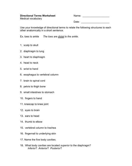 Solved Directional Terms Worksheet Name: Medical vocabulary | Chegg.com