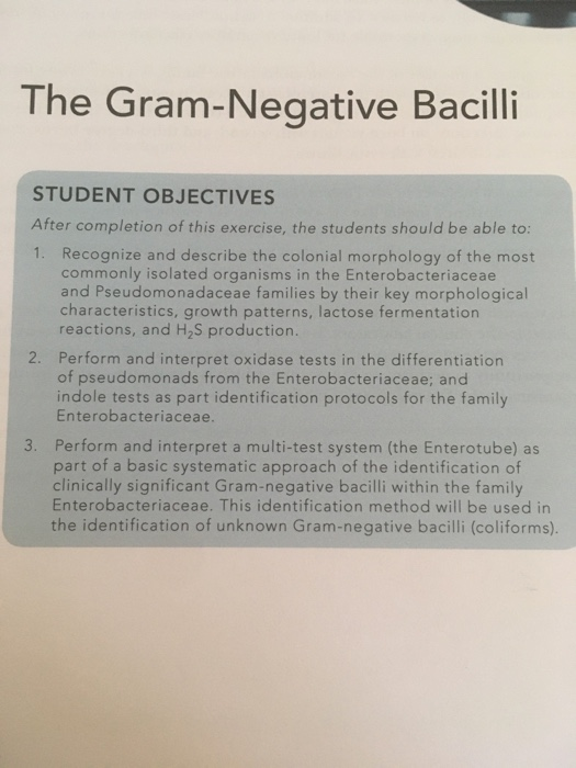 Solved The Gram-Negative Bacill CHAPTER 8 Pre-Lab | Chegg.com