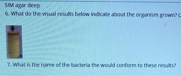 Solved SIM agar deep 6. What do the visual results below | Chegg.com