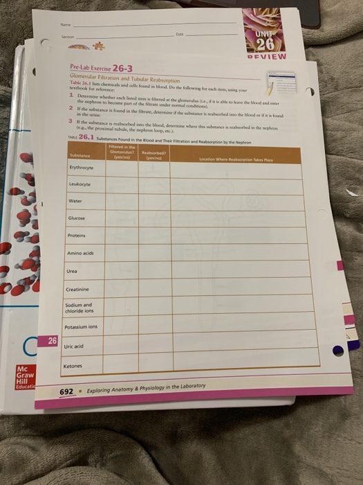 DEVIEW Pre-Lab Exercise 26-3 Glomerular Filtration | Chegg.com