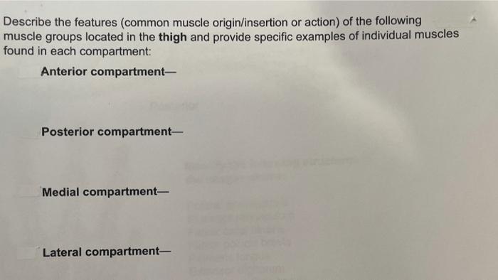 Solved Classifying Muscles Based on Fascicle Orientation | Chegg.com