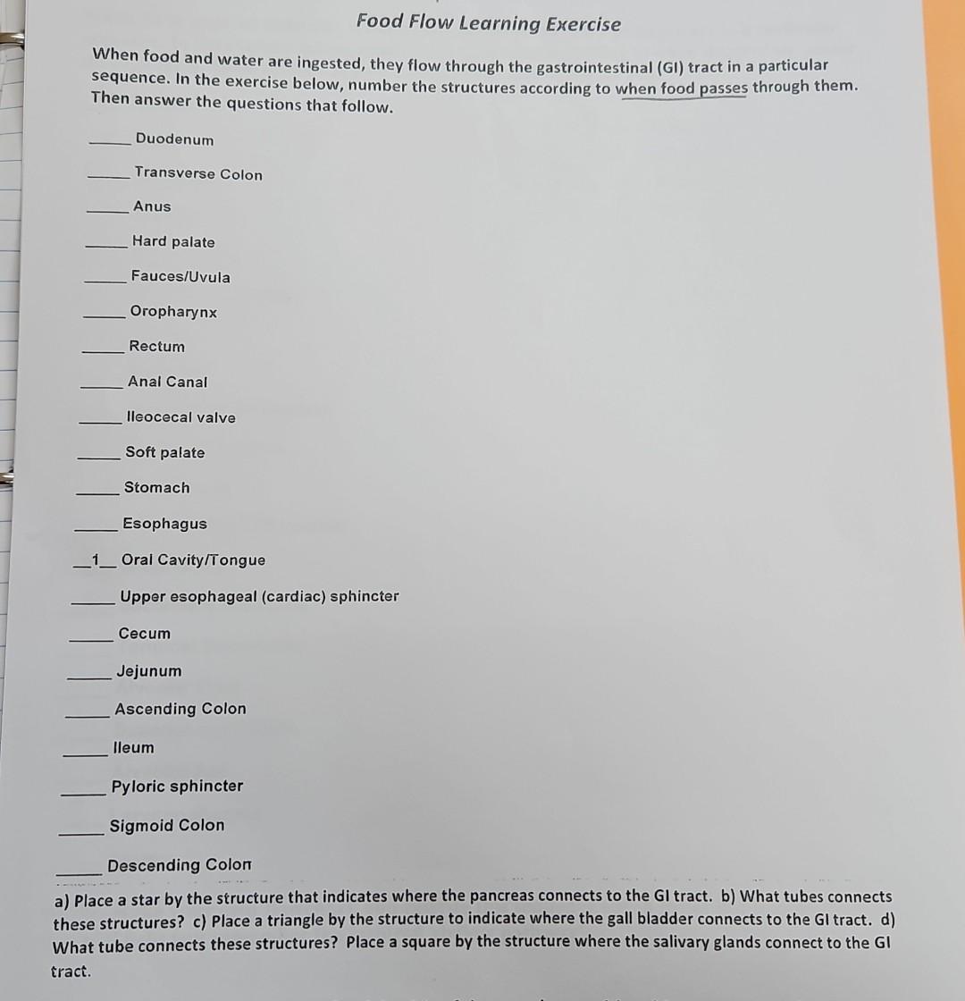 Solved Food Flow Learning Exercise When food and water are | Chegg.com