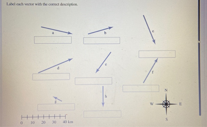 Solved Label each vector with the correct description. С a b | Chegg.com