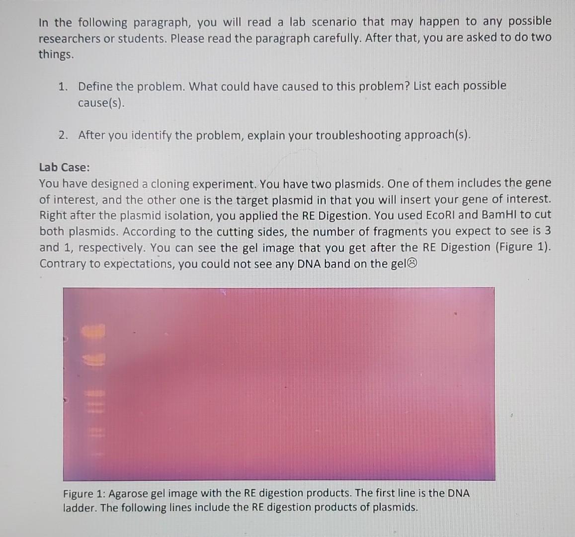 Solved 1. Define the problem. What could have caused to this | Chegg.com
