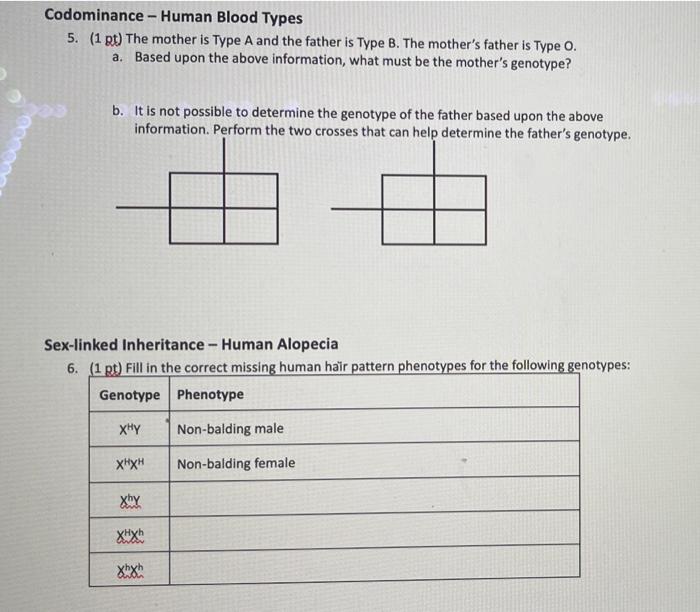 Solved Codominance - Human Blood Types 5. (1 pt) The mother | Chegg.com