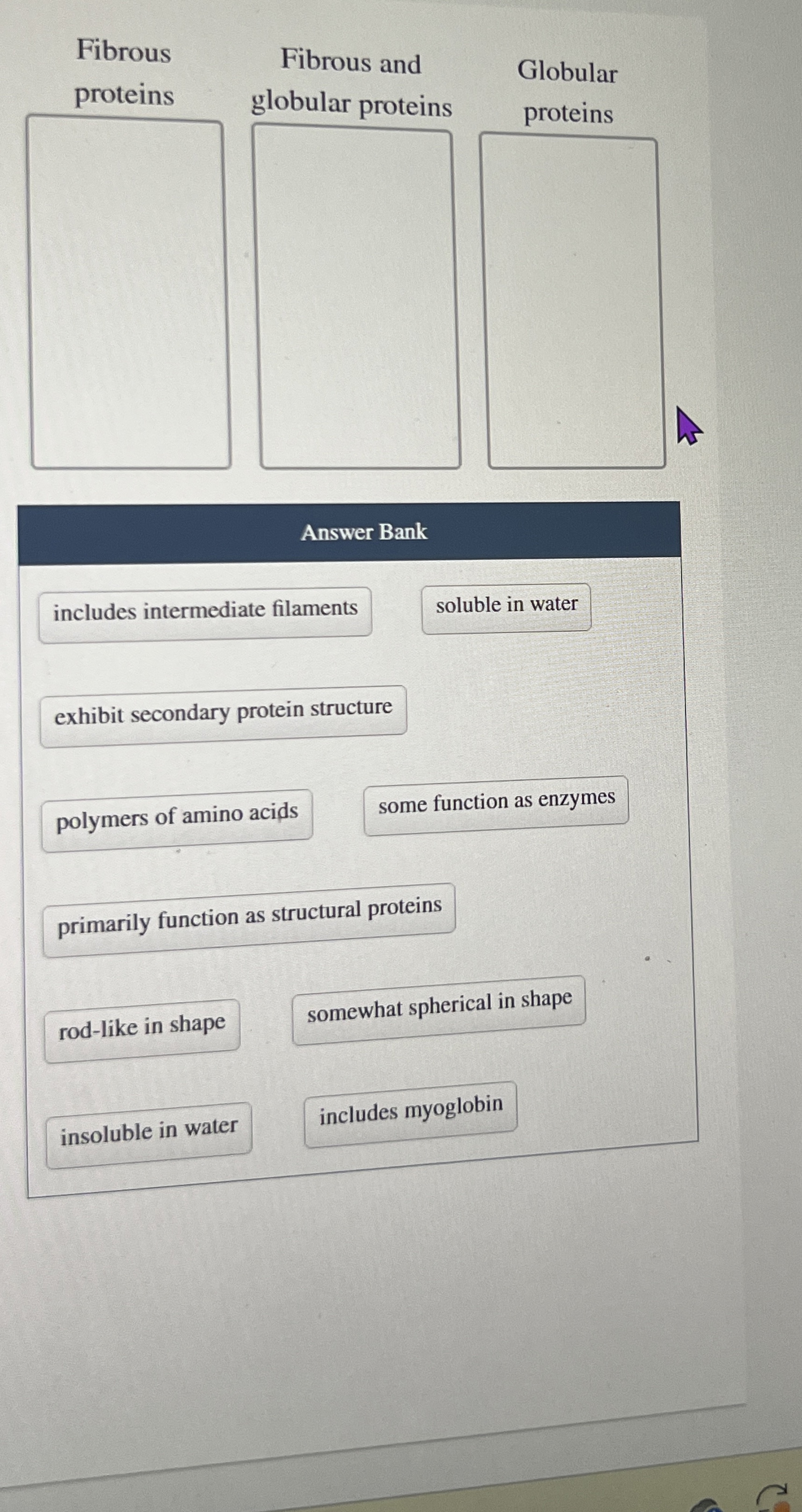 Solved Fibrous proteins Fibrous and globular | Chegg.com