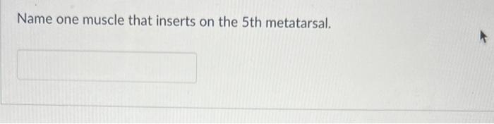 Solved Name one muscle that contains a raphe. Name the | Chegg.com