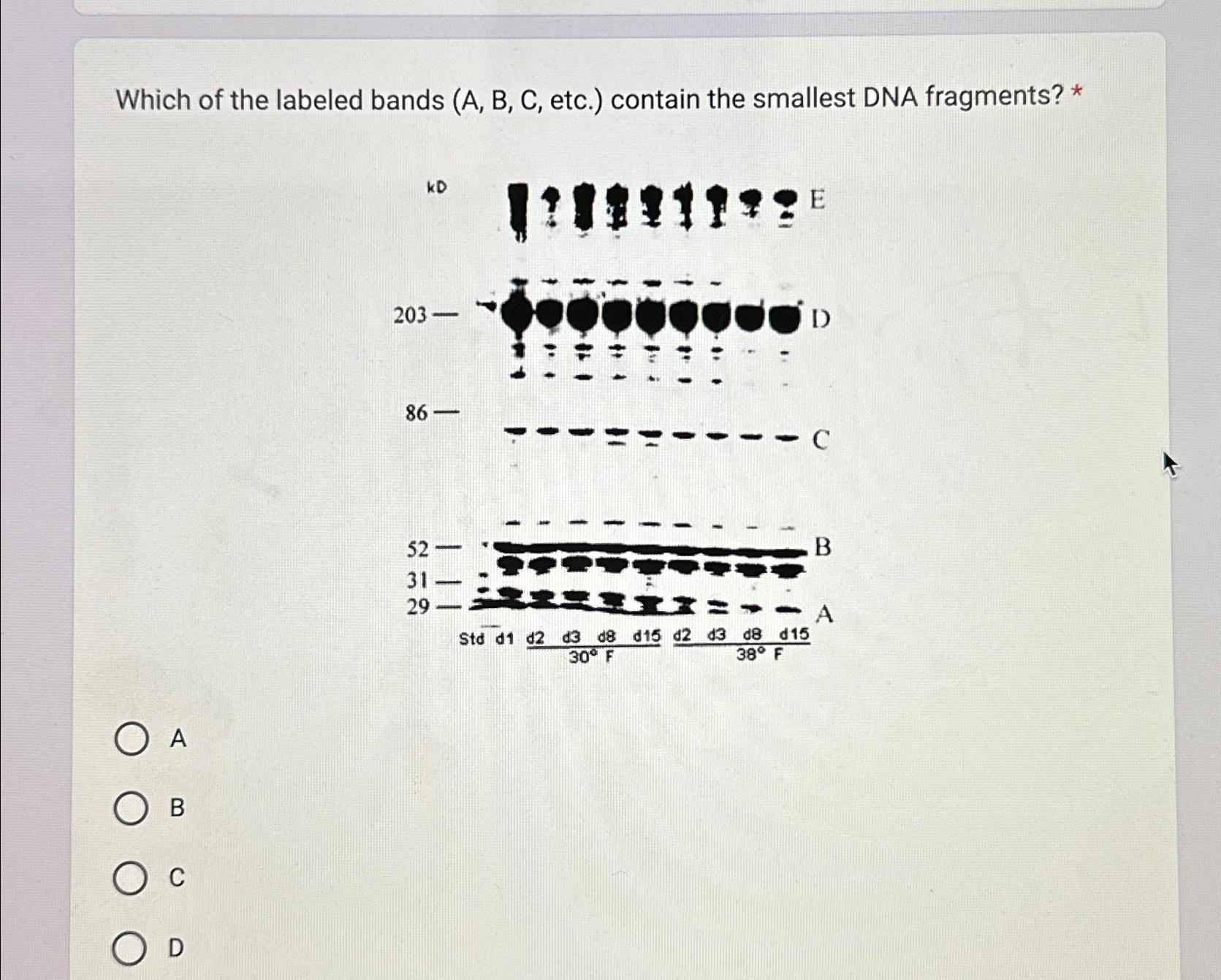 Solved Which of the labeled bands (A, ﻿B, ﻿C, ﻿etc.) | Chegg.com