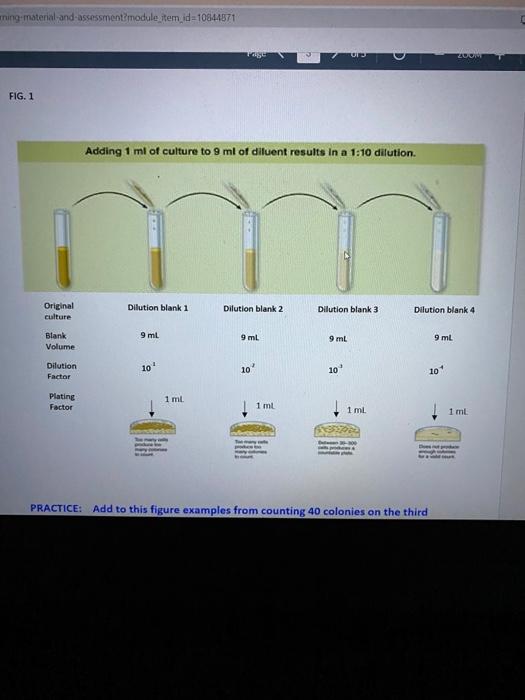 Solved 5. (1 pt) Putting it all together: A) A bacterial | Chegg.com
