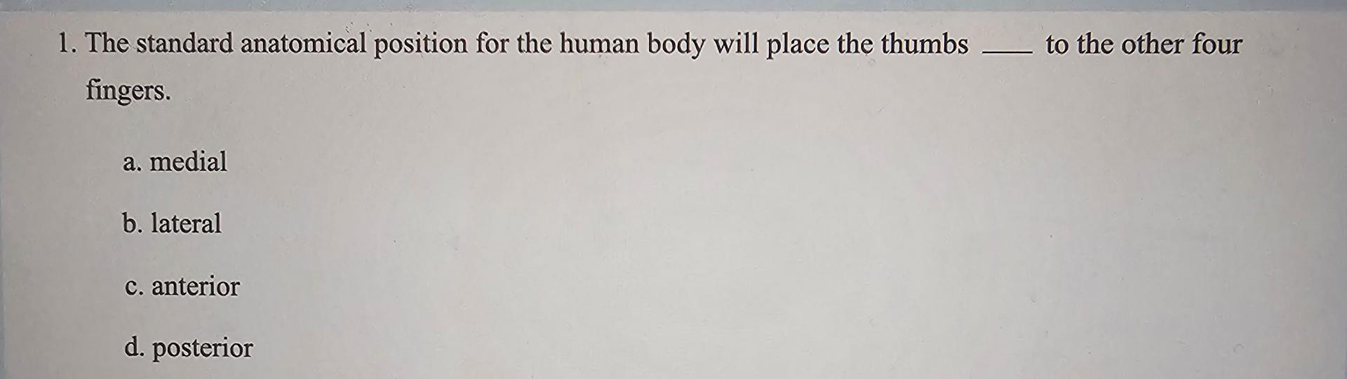 Solved The standard anatomical position for the human body | Chegg.com