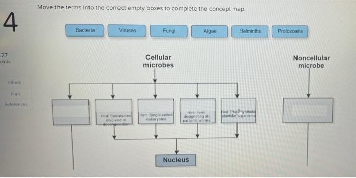 Solved Move the terms into the correct empty boxes to | Chegg.com