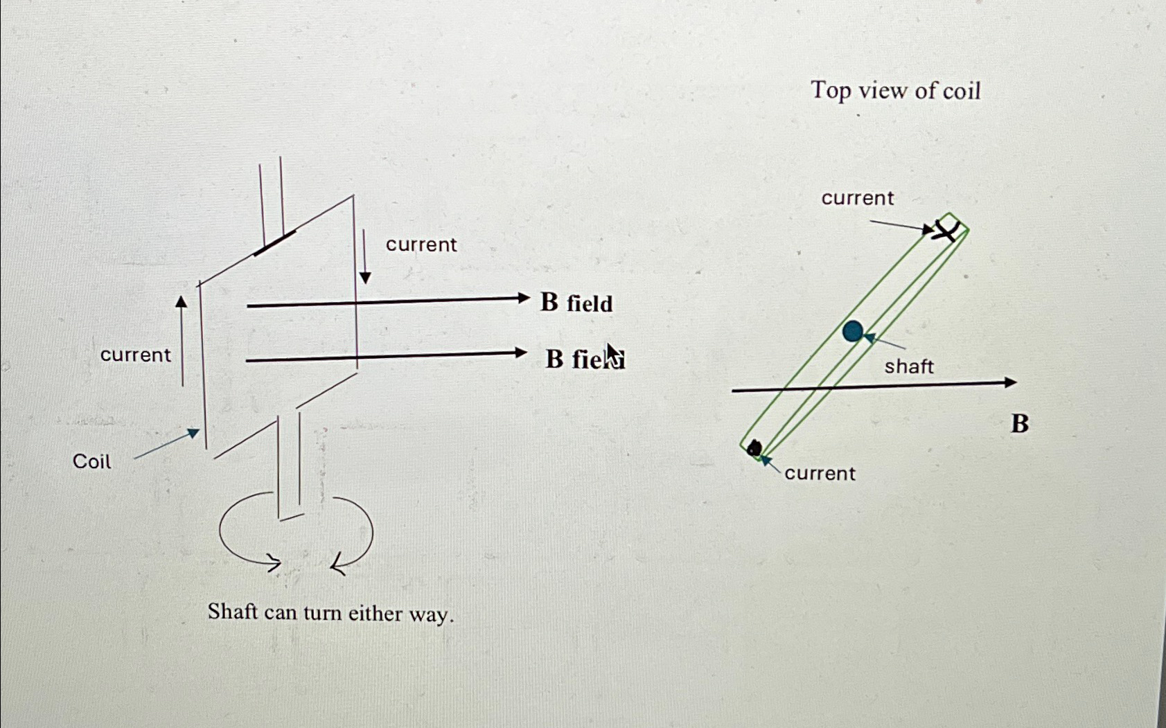 Solved A loop sits in a magnetic field. The coil has | Chegg.com