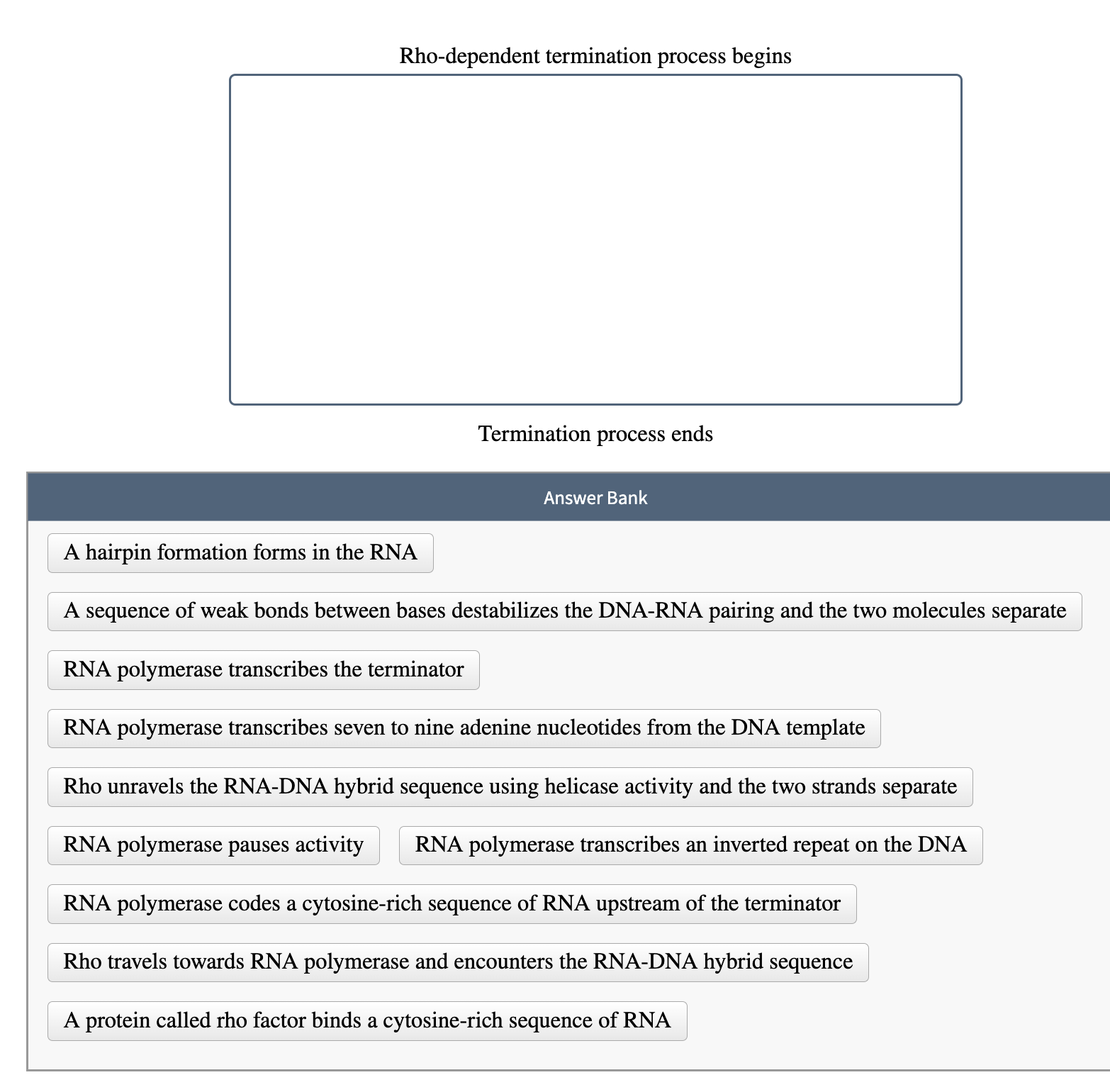 Solved Termination process endsAnswer BankA hairpin | Chegg.com
