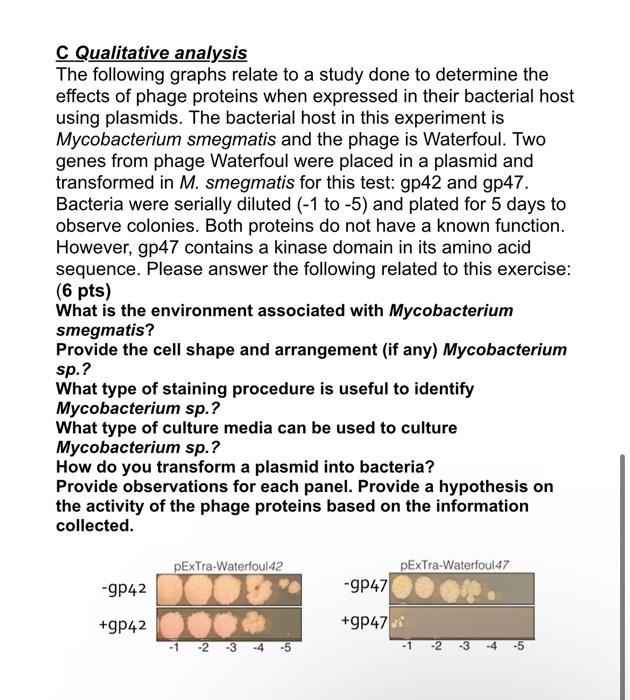 Solved C Qualitative analysis The following graphs relate to | Chegg.com