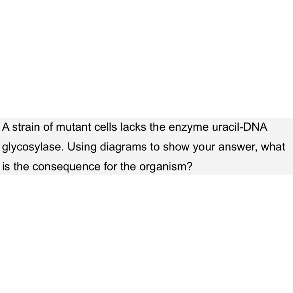 Solved A strain of mutant cells lacks the enzyme uracil-DNA | Chegg.com