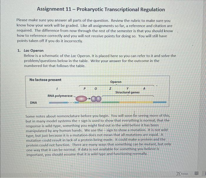 Solved Assignment 11 - Prokaryotic Transcriptional | Chegg.com