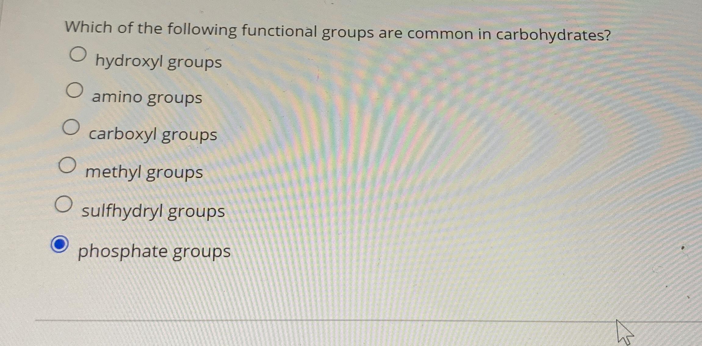 Solved Which of the following functional groups are common | Chegg.com