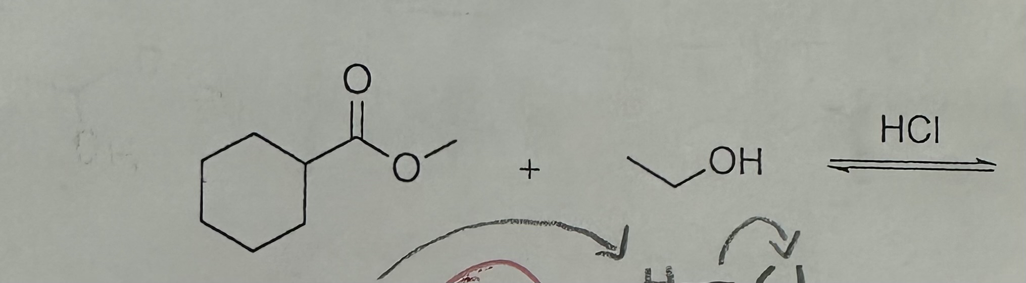 Solved Provide mechanism and final major product | Chegg.com