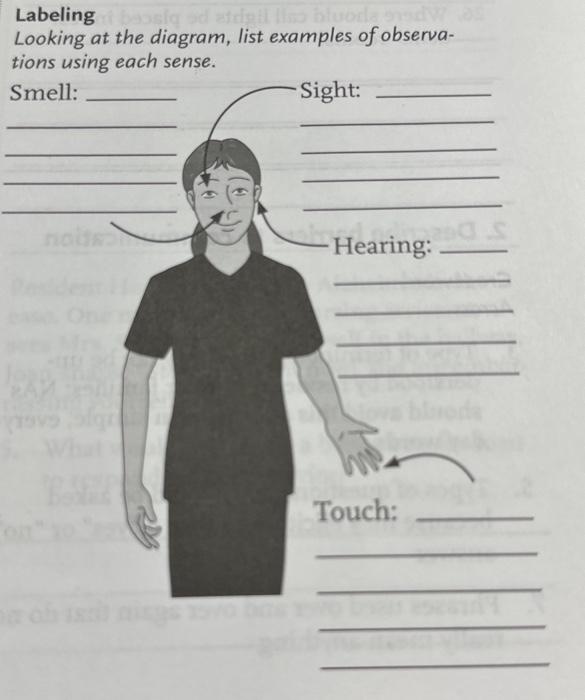 Solved Labeling Lt | Chegg.com