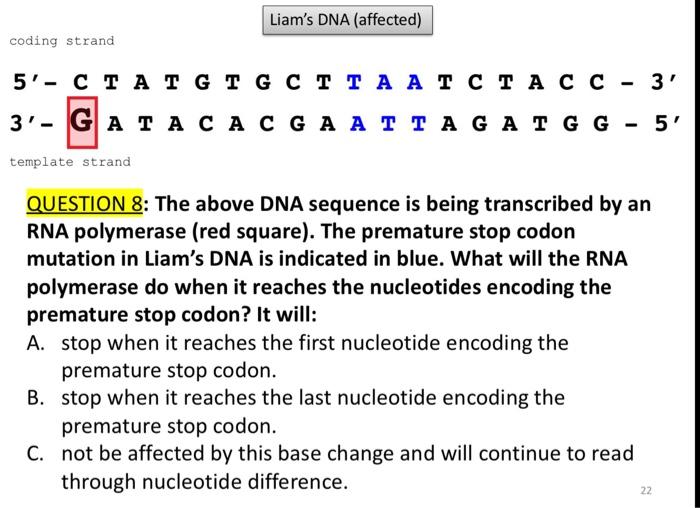 Solved QUESTION 8: The above DNA sequence is being | Chegg.com