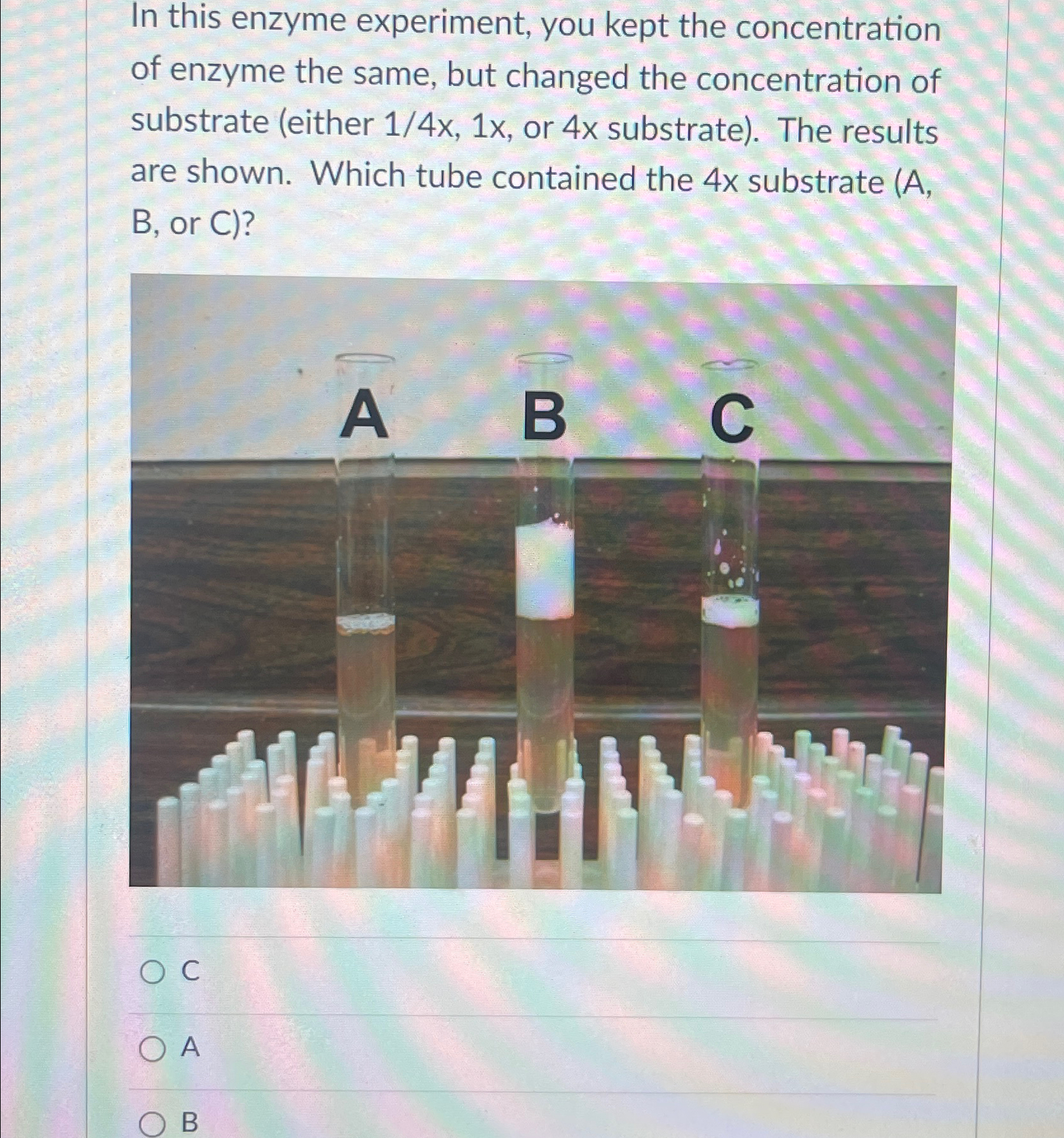 Solved In this enzyme experiment, you kept the concentration | Chegg.com
