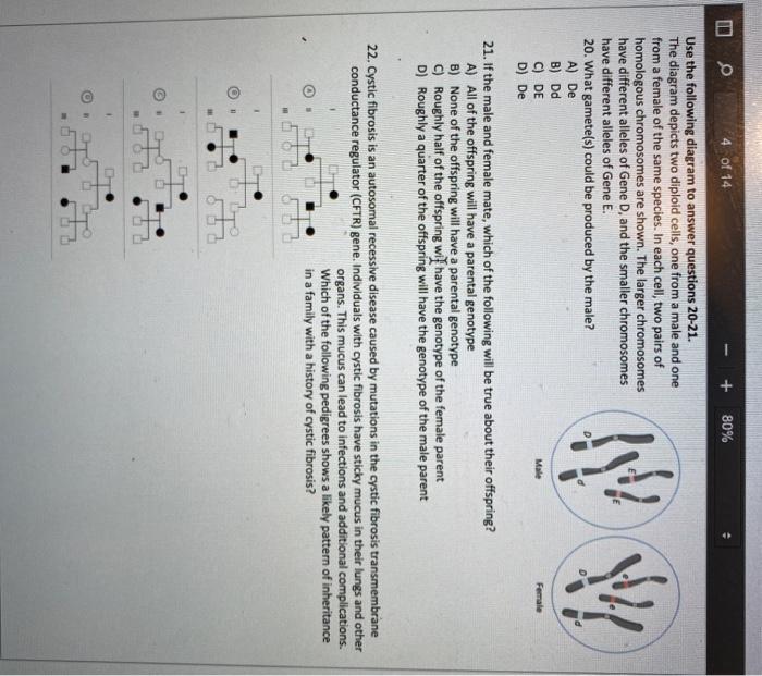 Solved 4 of 14 + 80% Use the following diagram to answer | Chegg.com
