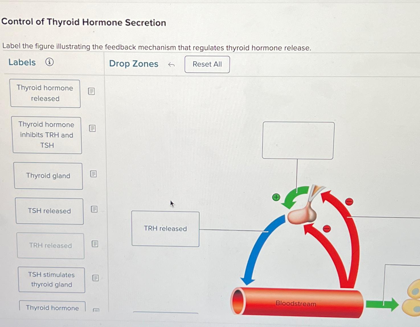 Control of Thyroid Hormone SecretionLabel the figure | Chegg.com