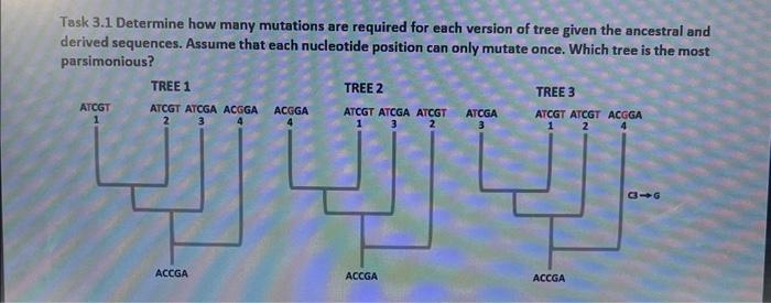 Solved Task 3.1 Determine how many mutations are required | Chegg.com
