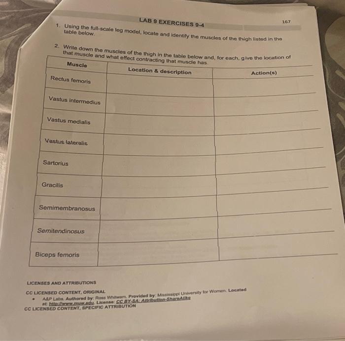 LAB 9 EXERCISES 9−4 167 1. Using the full-scale leg | Chegg.com