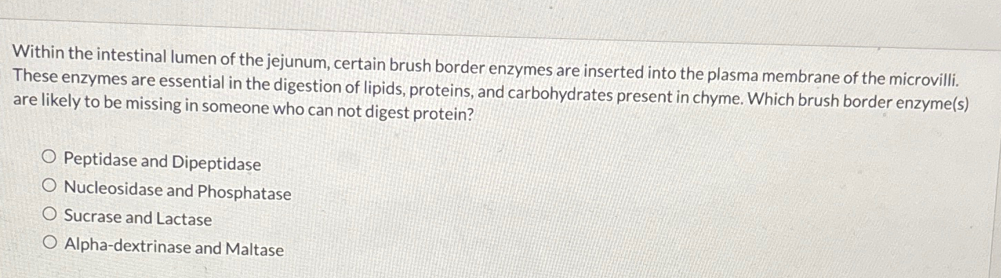 Solved Within the intestinal lumen of the jejunum, certain | Chegg.com